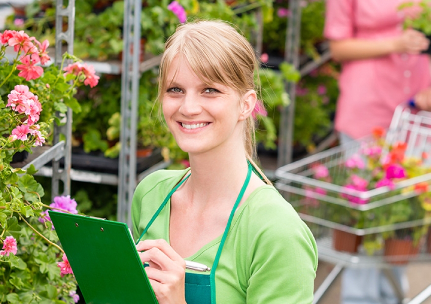 Employment Hamilton Job Board